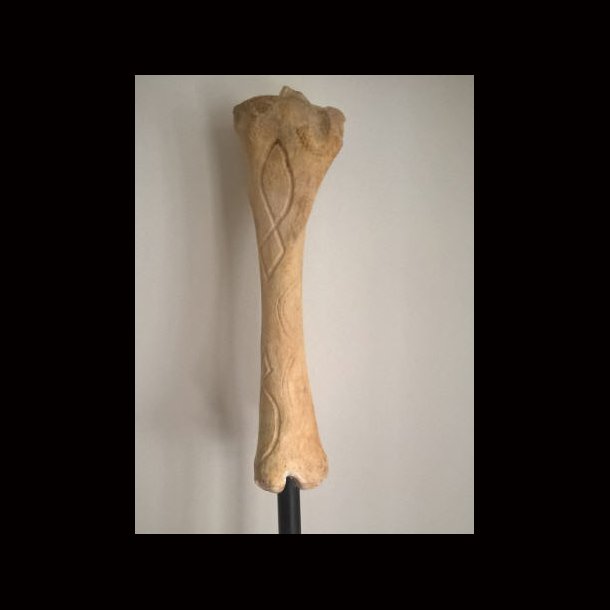 Walking Staff with Bone Handle - Forskellige Ting - darkwolfgothic